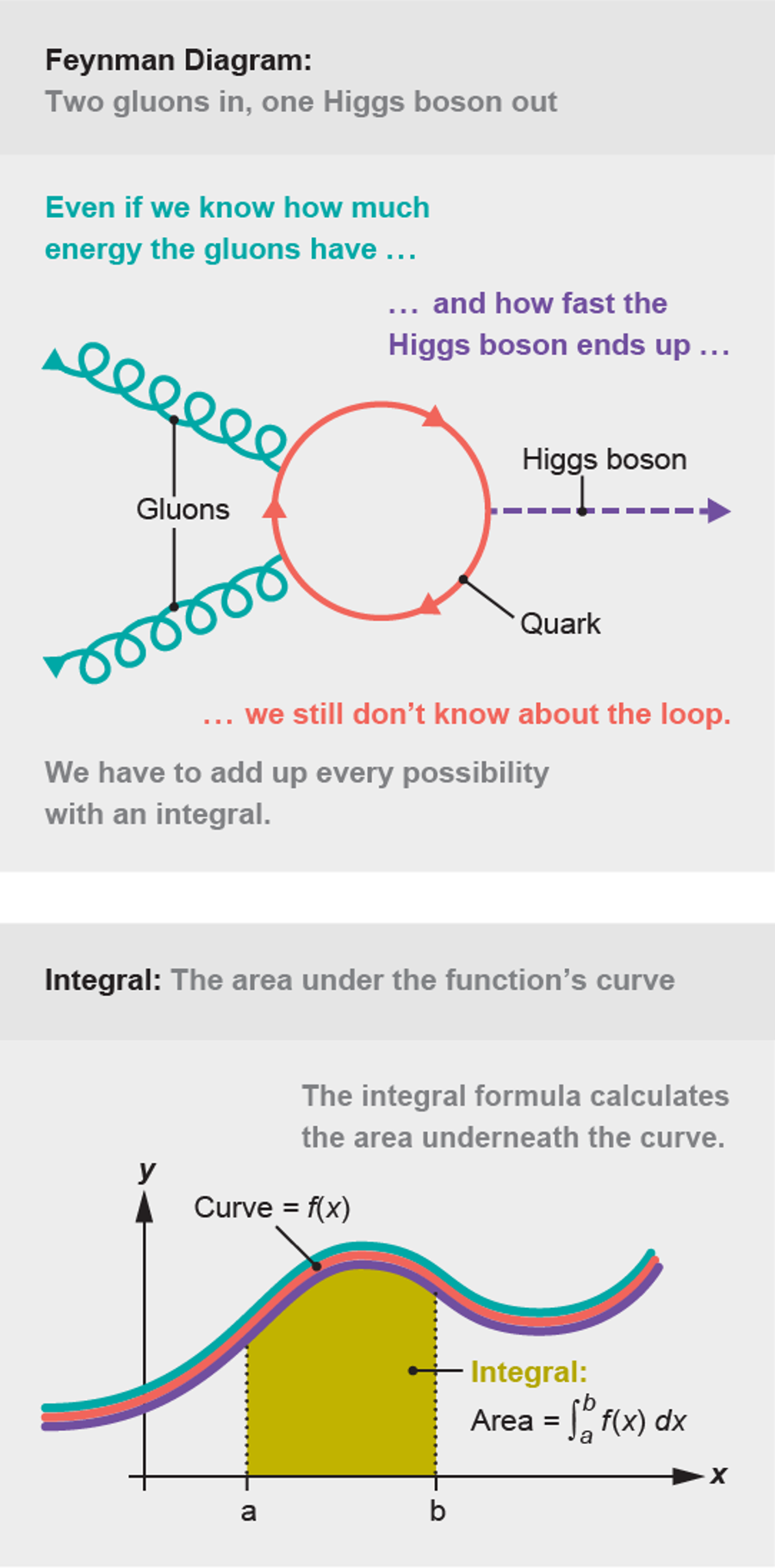 Loopy Particle Math | Scientific American