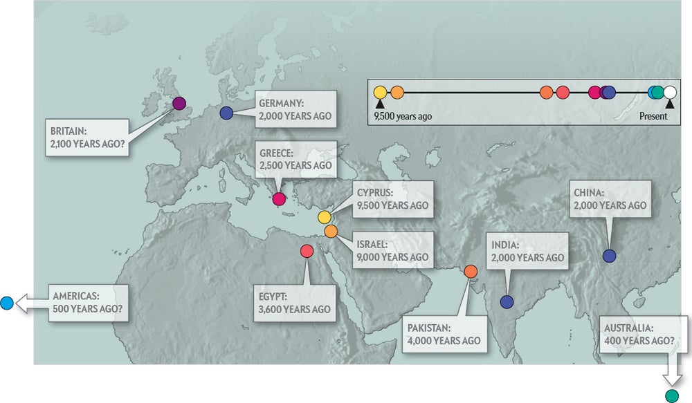 How House Cats Evolved | Scientific American