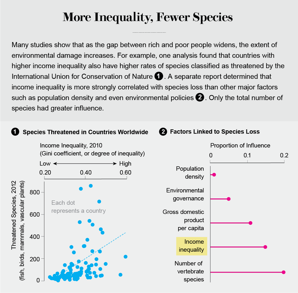 How Economic Inequality Harms the Environment | Scientific American