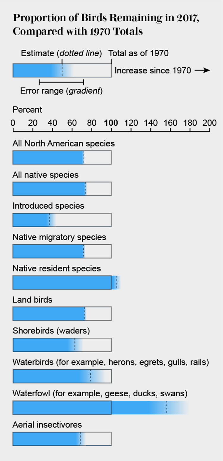 Silent Skies: Billions of North American Birds Have Vanished ...