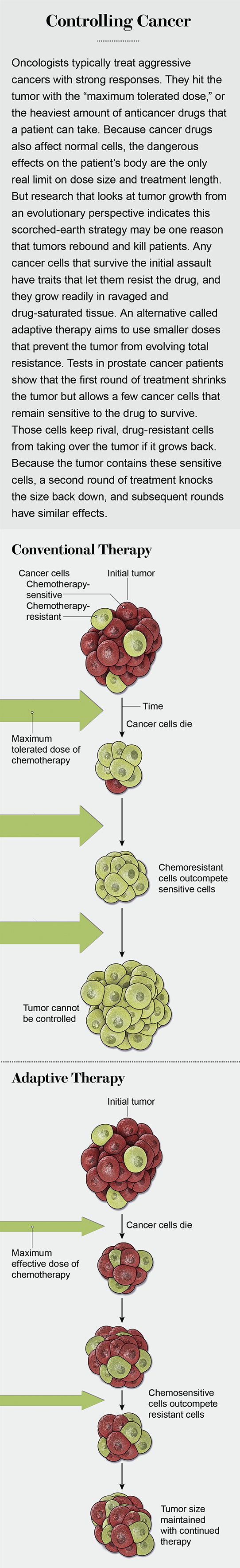 Darwin's Ideas on Evolution Drive a Radical New Approach to Cancer Drug ...