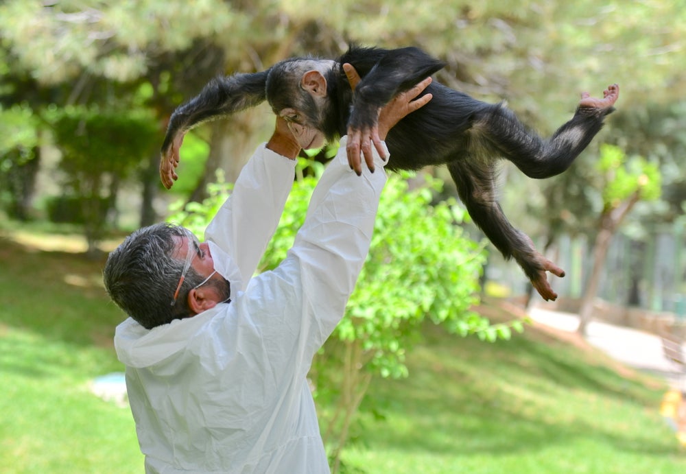 Zoos Find Creative Ways to Cope with Coronavirus Lockdowns | Scientific ...