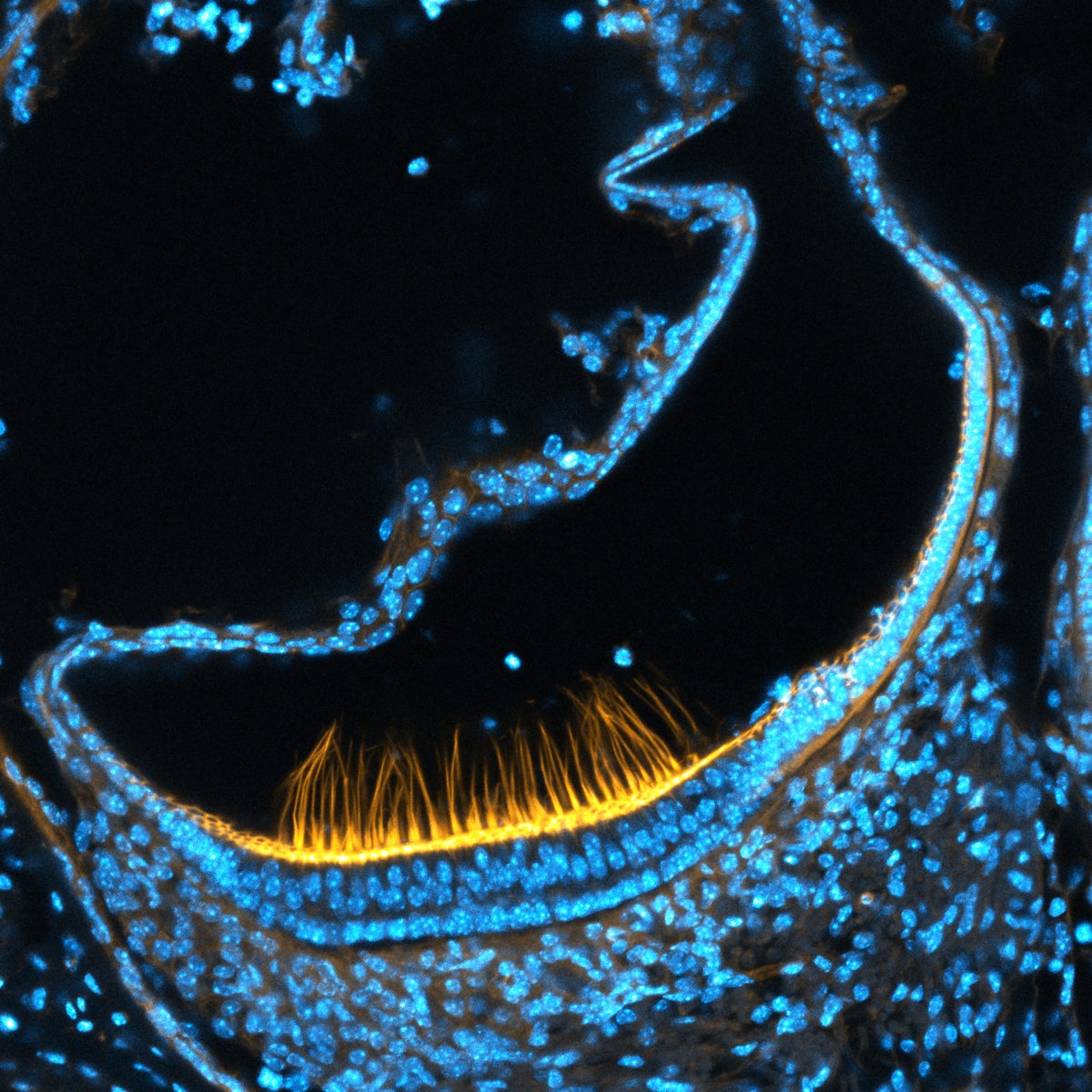 The Beautiful Things inside Your Head: Winners of the 10th Annual Art ...