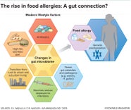 Gut Microbes May Be Key To Solving Food Allergies Scientific American