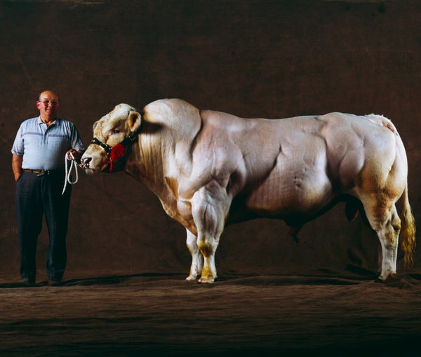 Molecular Medicine Keeps Mice Mighty in Microgravity | Scientific American