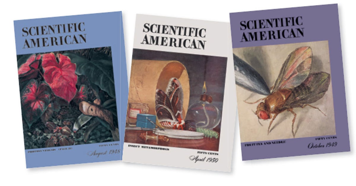 Vintage Scientific American Covers by Fish Illustrator Stanley Meltzoff ...