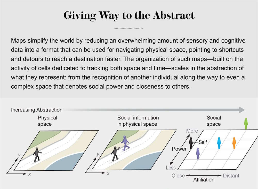 In Search of the Brain's Social Road Maps | Scientific American