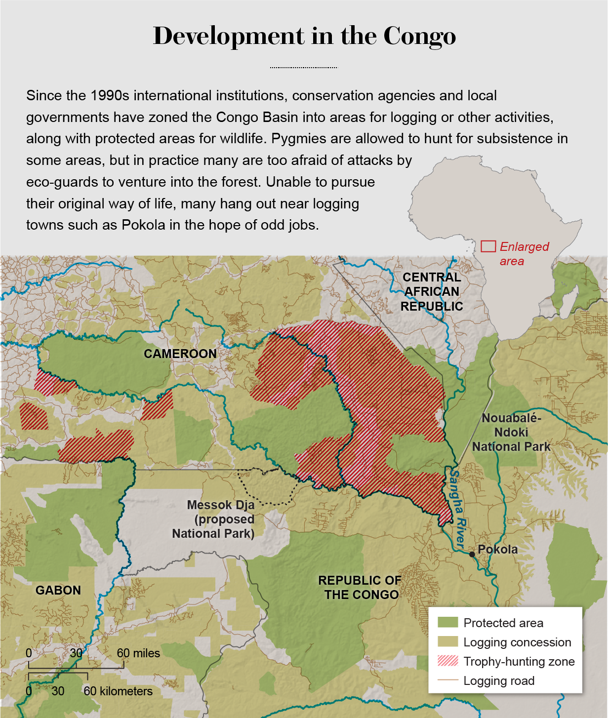 How 'Sustainable' Development Ravaged the Congo Basin | Scientific American
