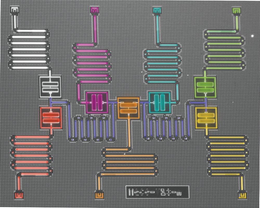 Beyond Quantum Supremacy: The Hunt for Useful Quantum Computers ...