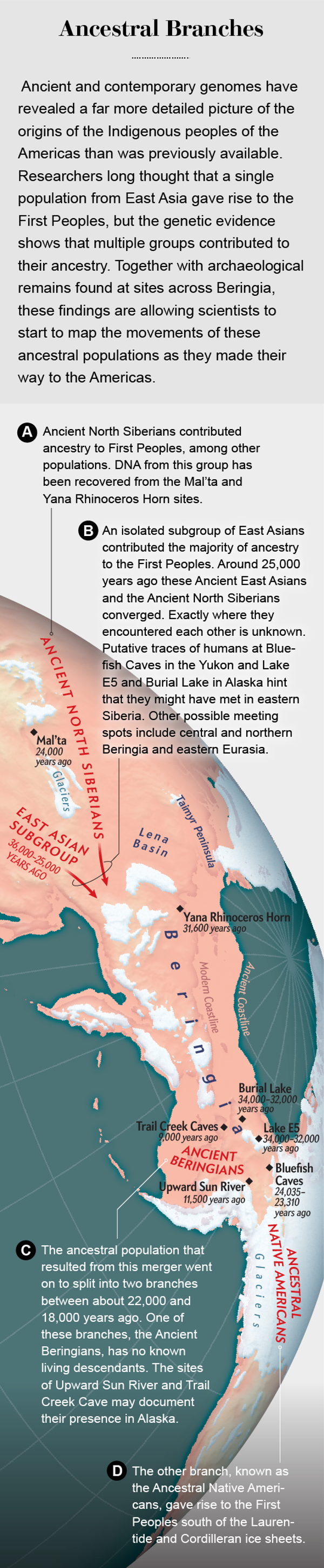 Genomes Reveal Humanity's Journey into the Americas | Scientific American