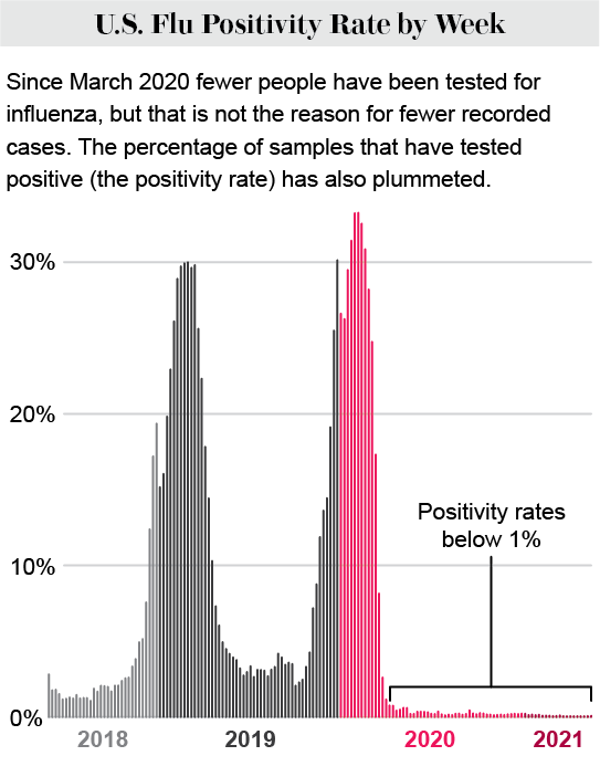 Flu Has Disappeared for More Than a Year | Scientific American