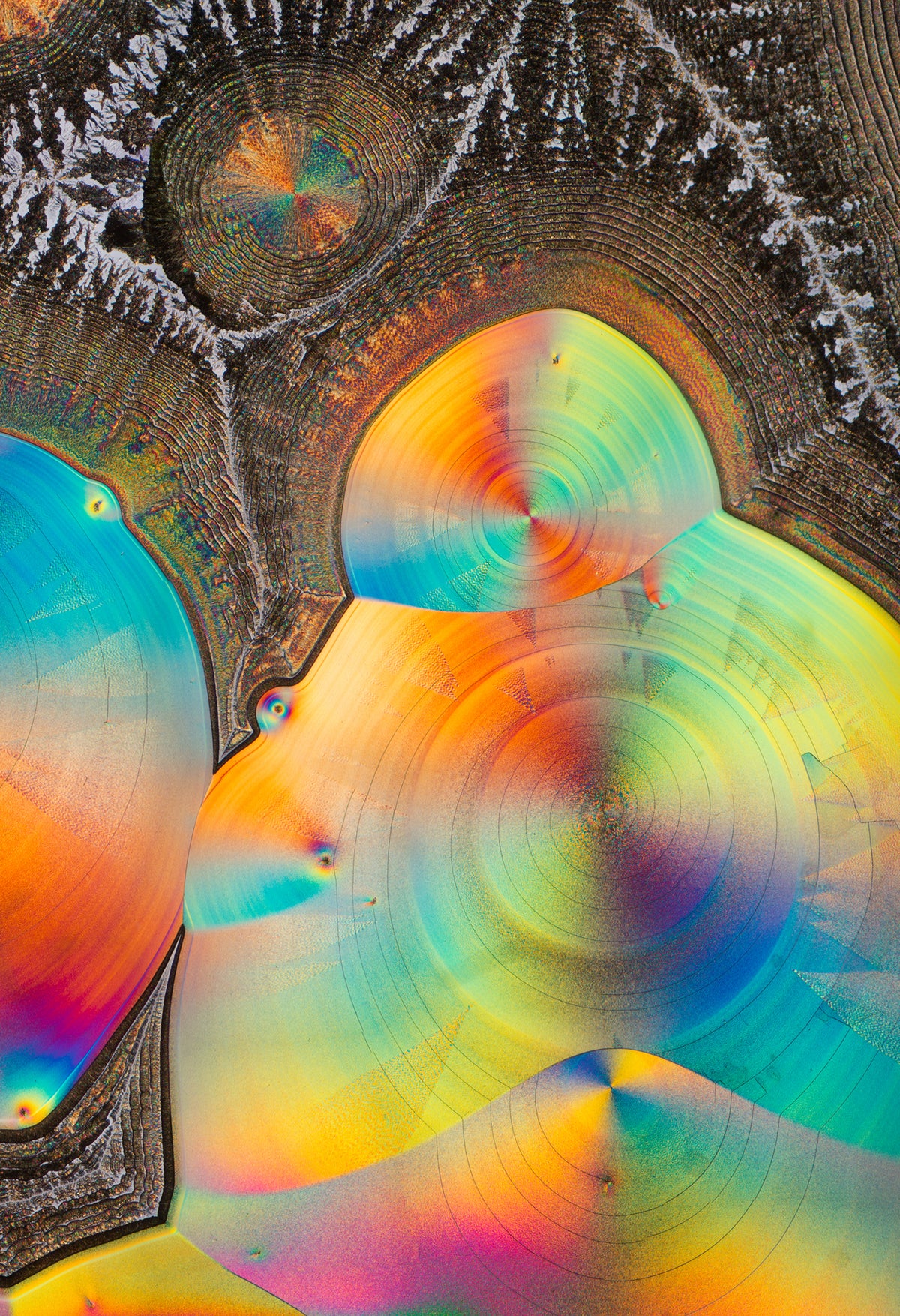 See Crystals Form a Mesmerizing World of Microscopic Landscapes ...