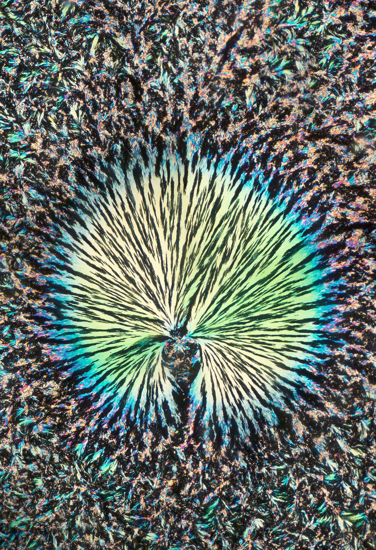 See Crystals Form a Mesmerizing World of Microscopic Landscapes ...