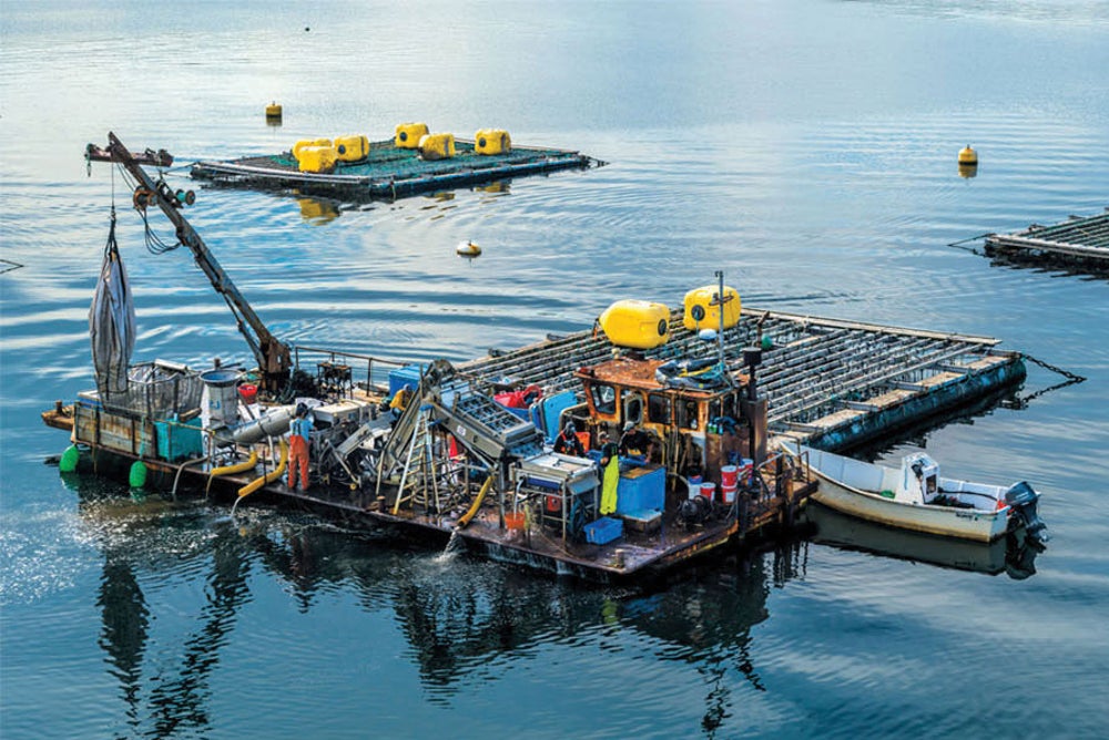 Innovative Fish Farms Aim to Feed the Planet, Save Jobs and Clean Up an ...