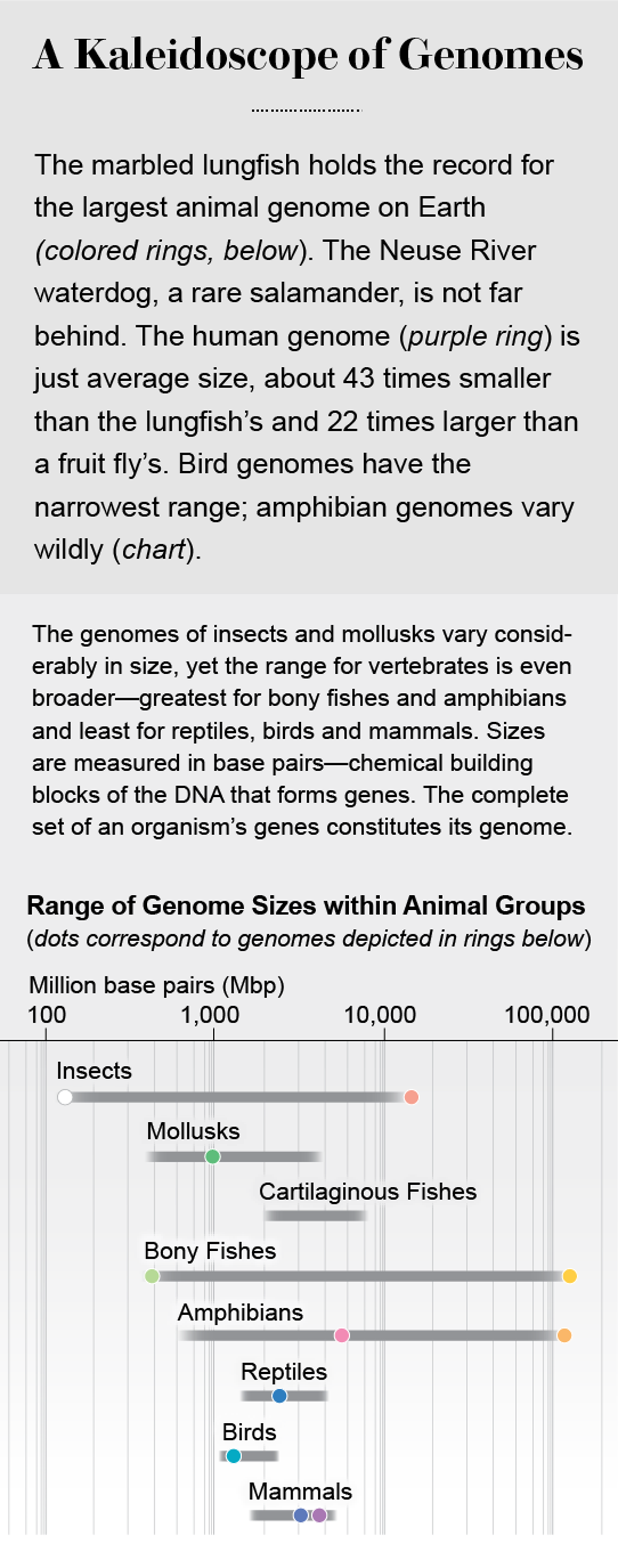 Junk DNA Deforms Salamander Bodies | Scientific American