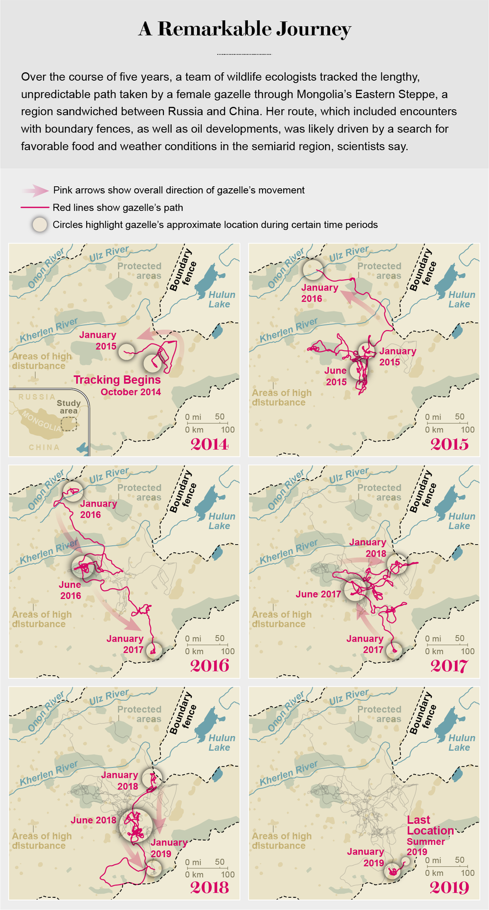Gazelle Traveled Distance of Nearly Half Earth's Circumference in Five ...