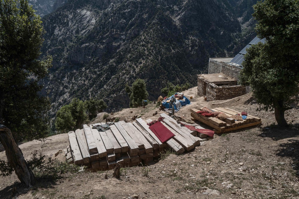 A Rare Glimpse into Afghanistan's Spectacular, Vanishing Forests ...