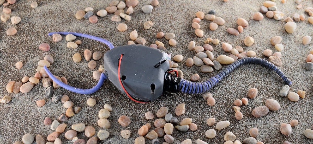 Robotics 'Revives' a Long-Extinct Starfish Ancestor | Scientific American