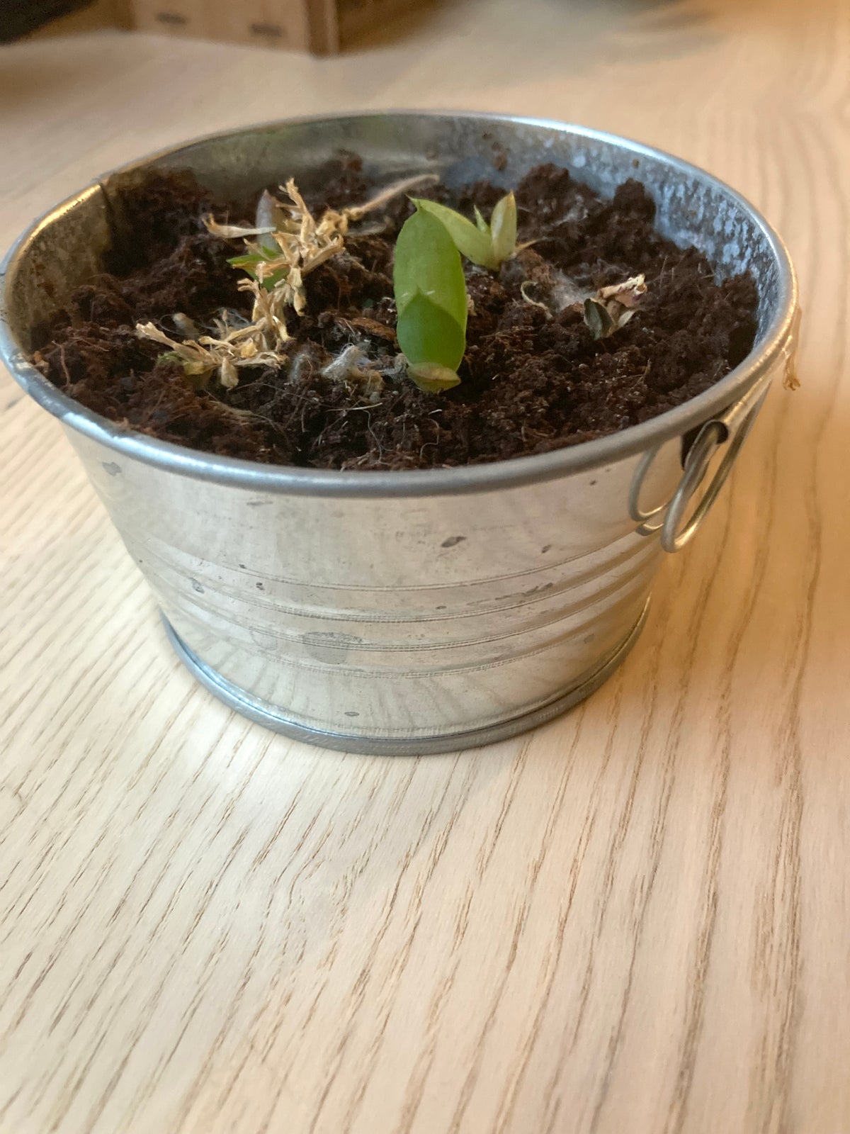 The Latest AI Chatbots Can Handle Text, Images and Sound. Here's How ...