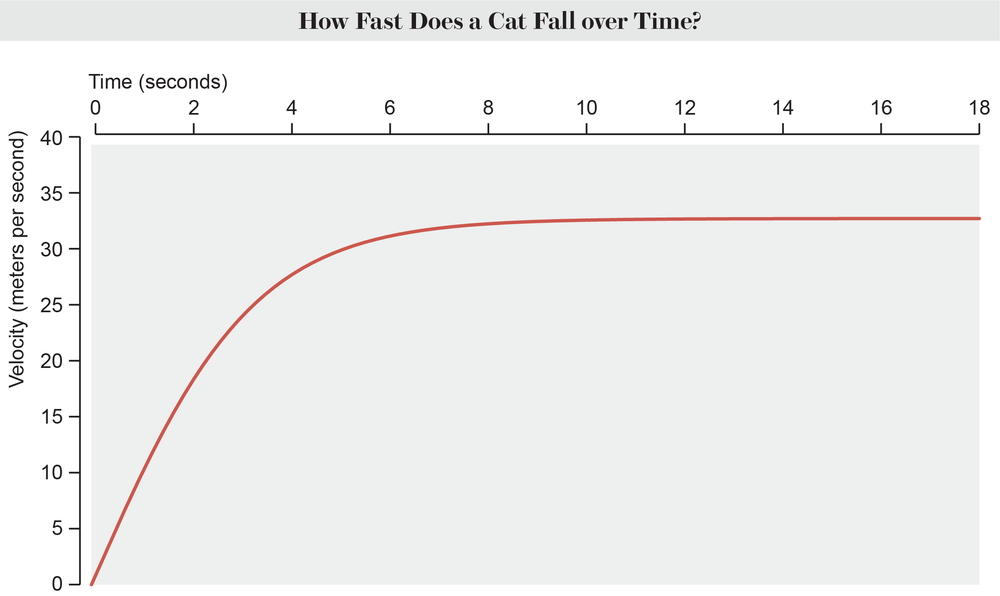 Why Do Cats Land on Their Feet? Physics Explains | Scientific American