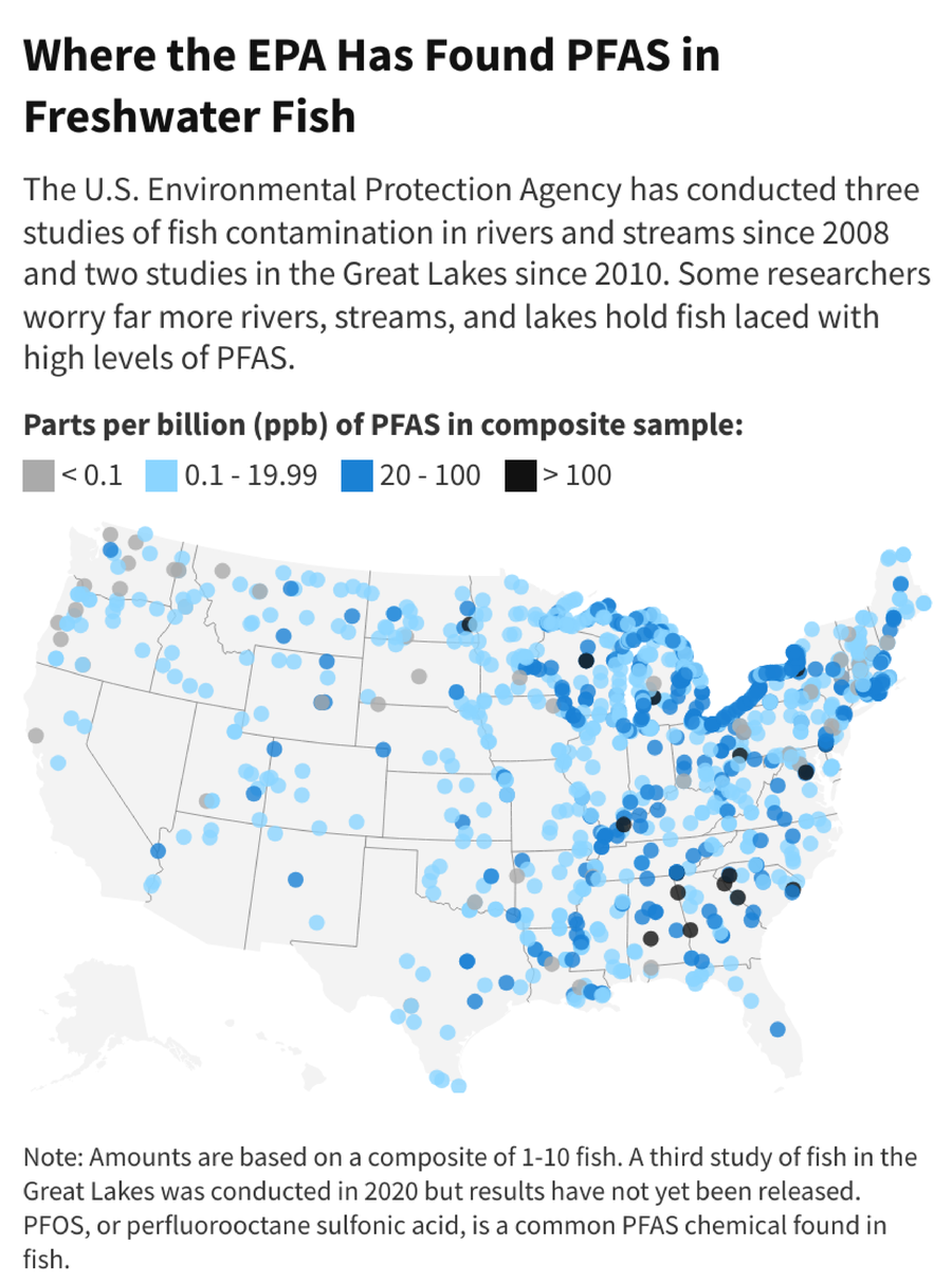 PFAS 'Forever Chemicals' Found in Freshwater Fish, Yet Most States Don ...