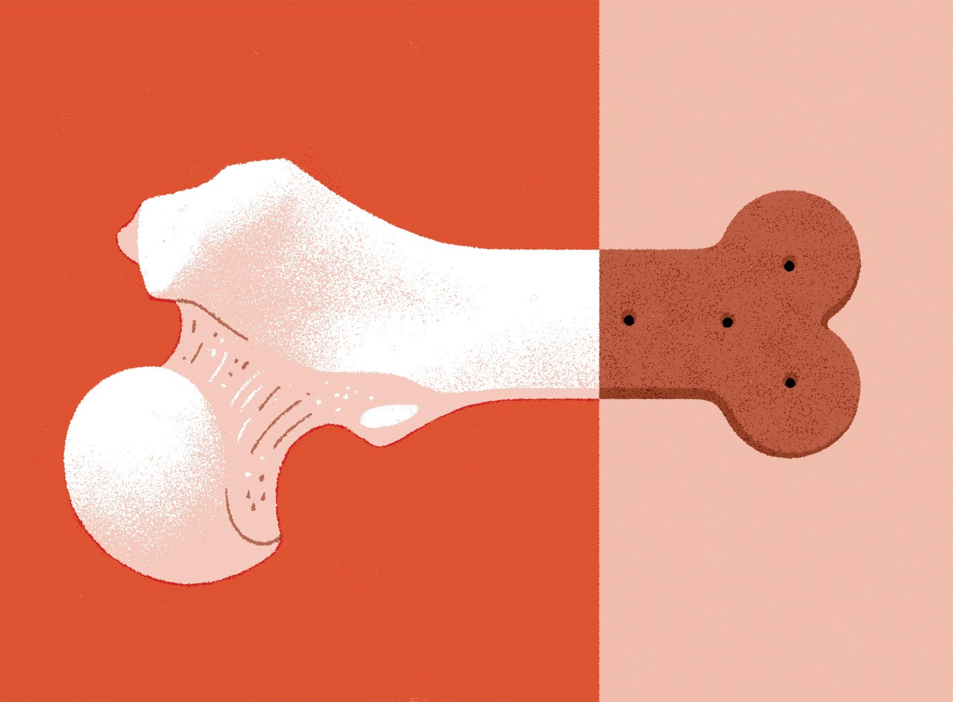 Humans Evolved to Be Friendly | Scientific American