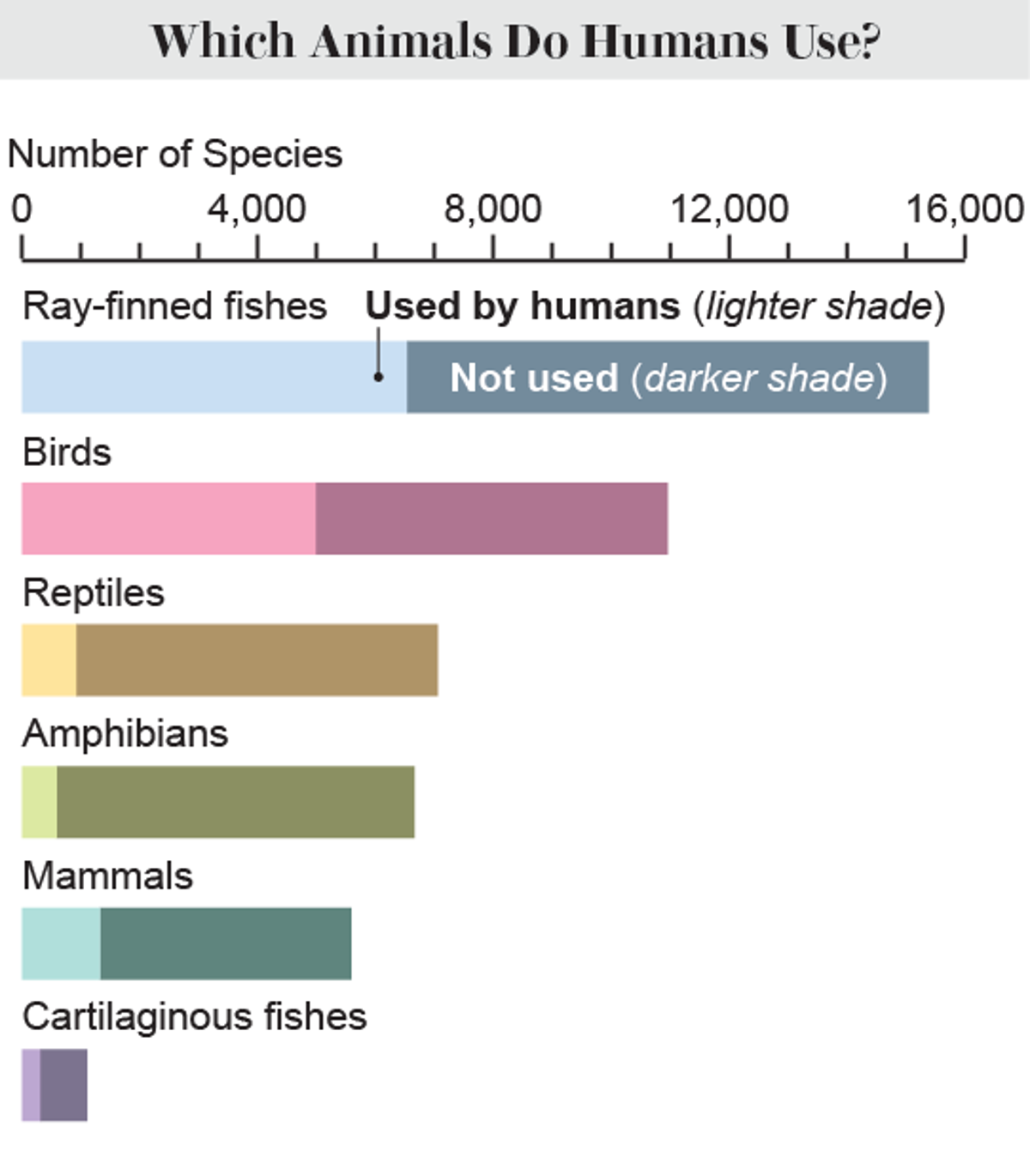 Humans Are Predators of at Least One Third of All Vertebrate Species ...