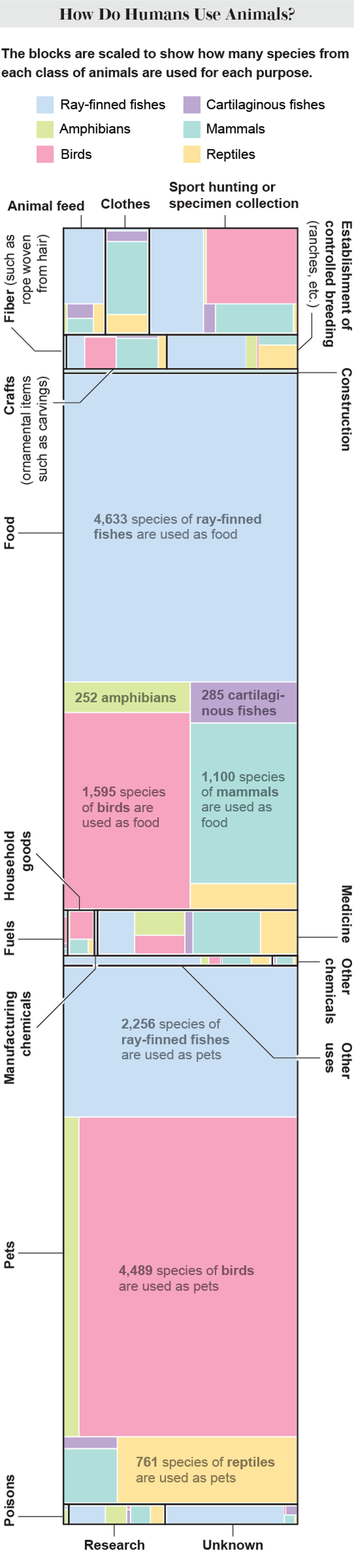 Humans Are Predators of at Least One Third of All Vertebrate Species ...