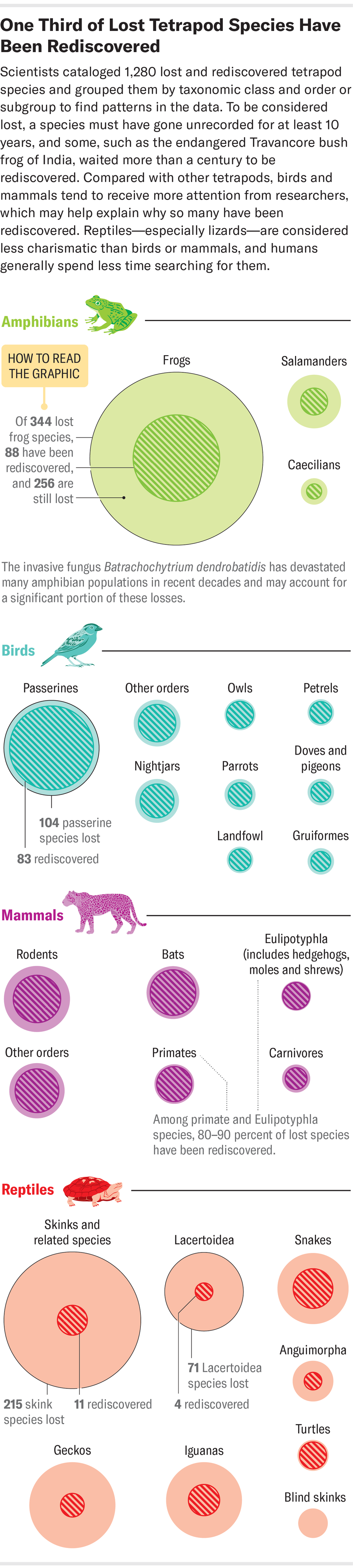 Which Lost Species May be Found Again? Huge Study Reveals Clues ...