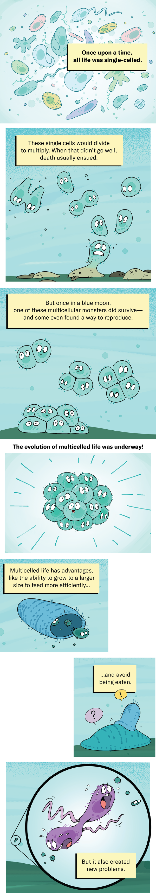 A Comic Guide to the Evolution of Ancient Cells into Complex Brains ...