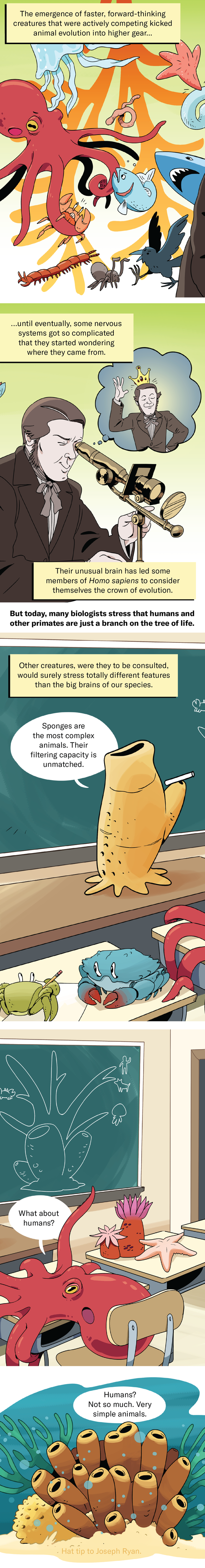 A Comic Guide To The Evolution Of Ancient Cells Into Complex Brains Scientific American 