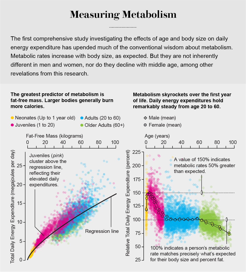New Human Metabolism Research Upends Conventional Wisdom about How We ...