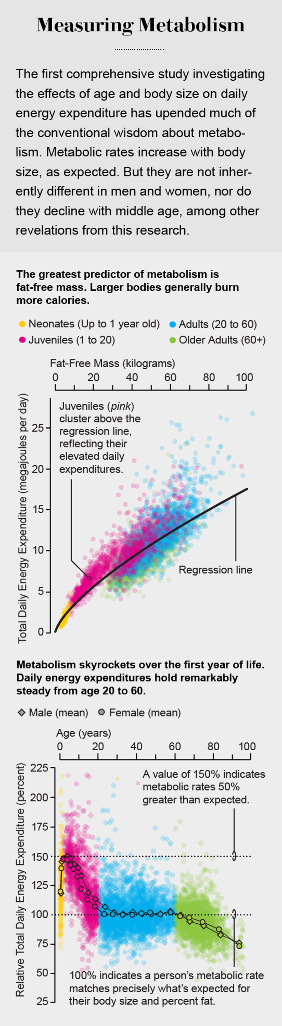 New Human Metabolism Research Upends Conventional Wisdom about How We ...