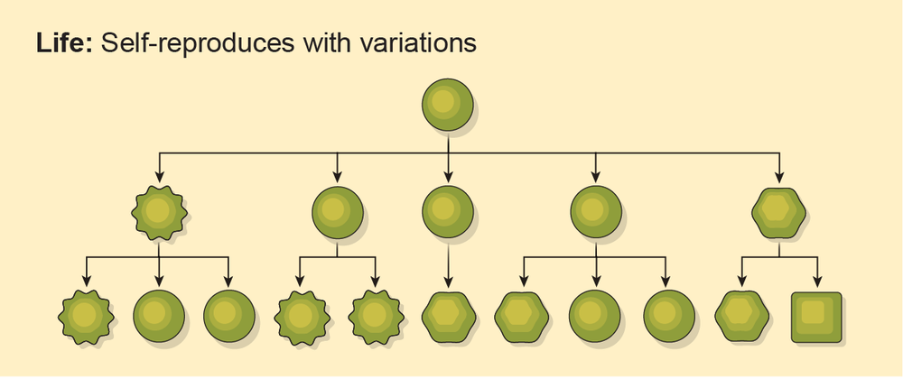 The Search for Extraterrestrial Life as We Don't Know It | Scientific ...
