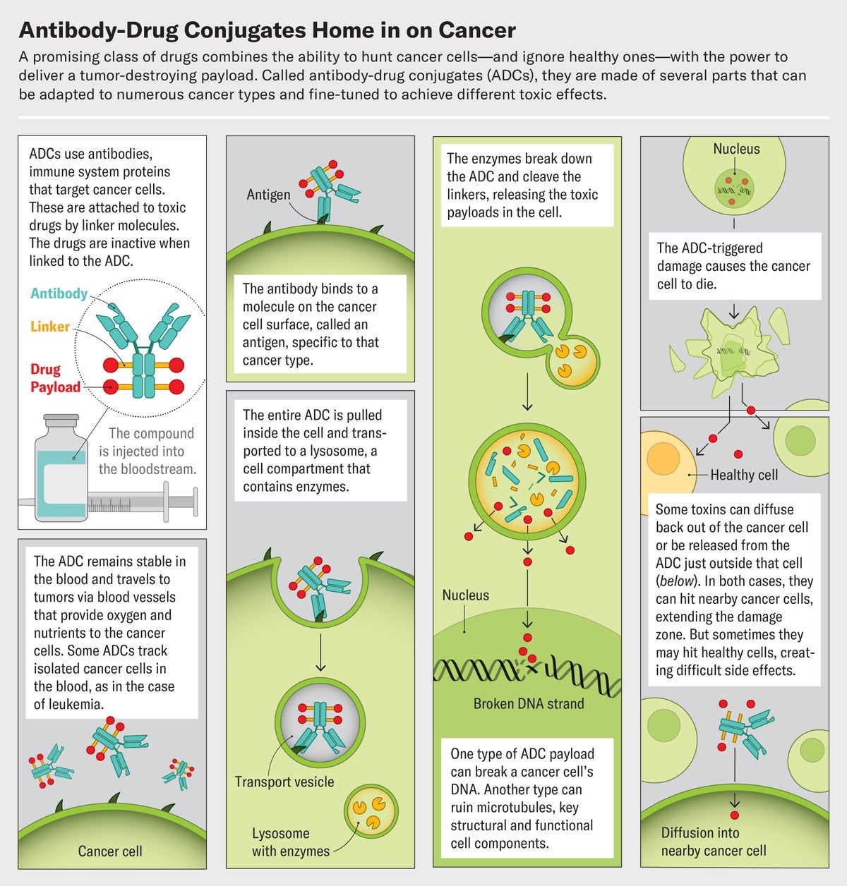 These new cancer drugs improve outcomes for people with hard-to-treat ...