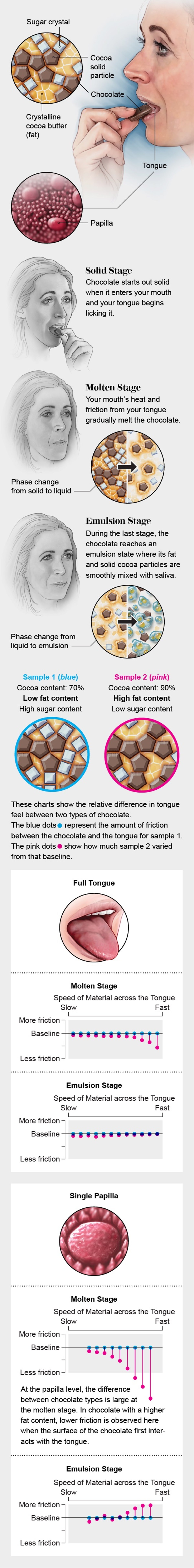 The Science of Melting Chocolate | Scientific American