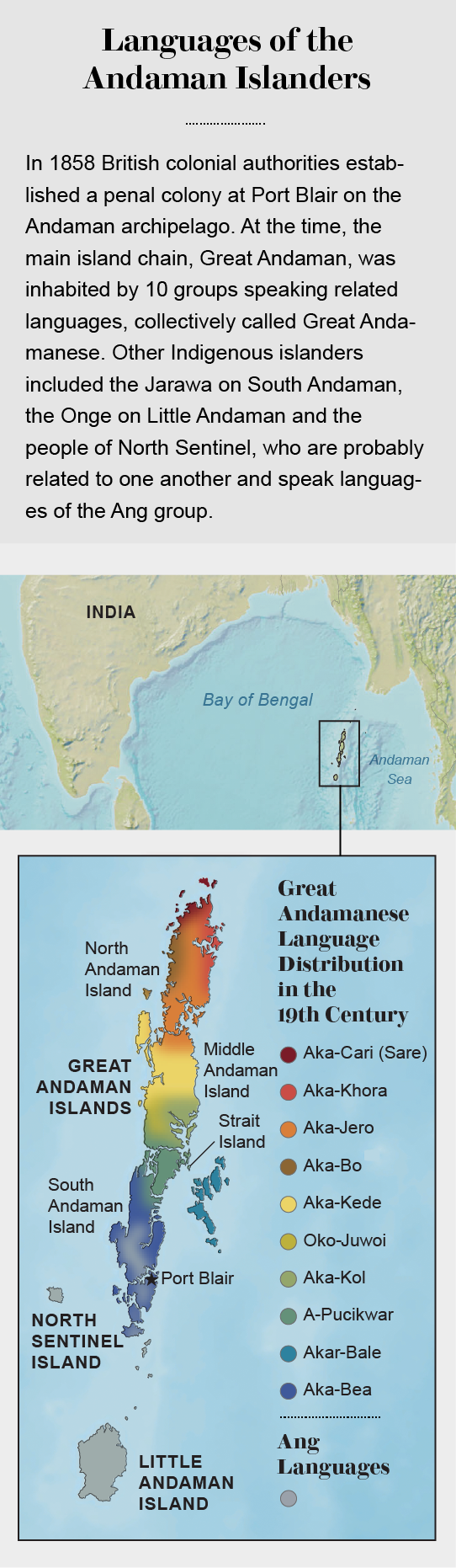 This Ancient Language Has the Only Grammar Based Entirely on the Human ...