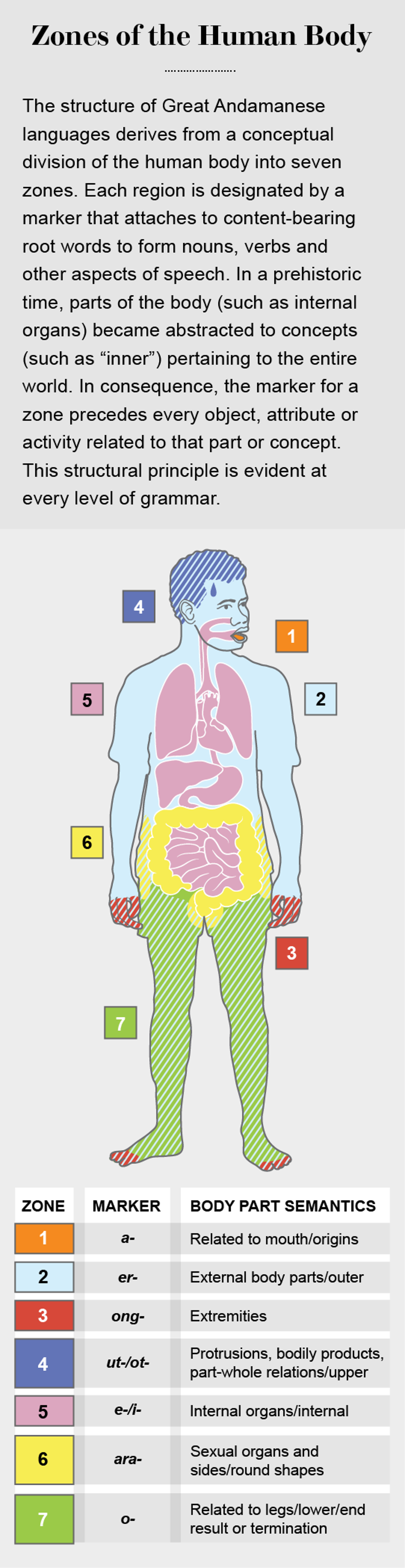 This Ancient Language Has the Only Grammar Based Entirely on the Human ...