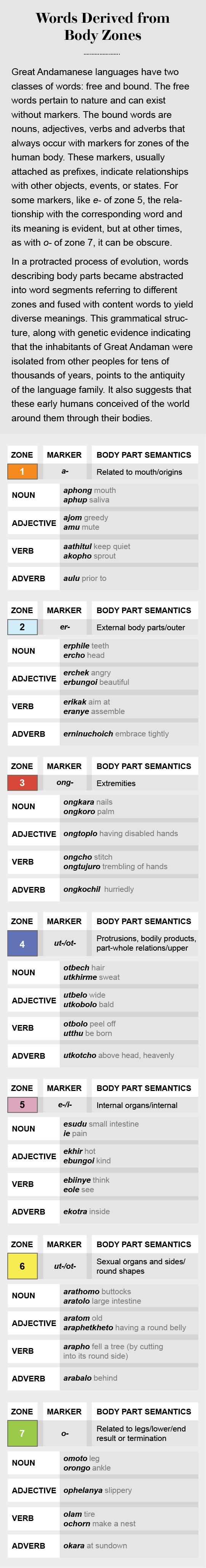 This Ancient Language Has the Only Grammar Based Entirely on the Human ...