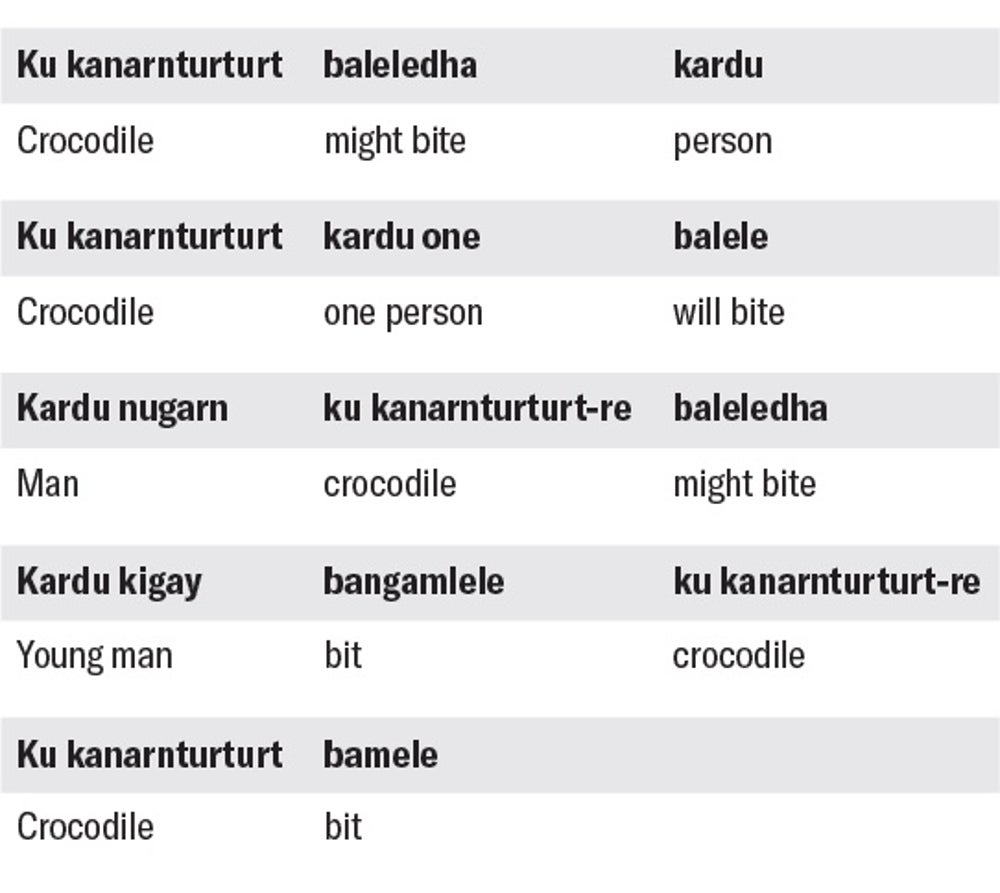 Grammar Changes How We See, an Australian Language Shows | Scientific ...