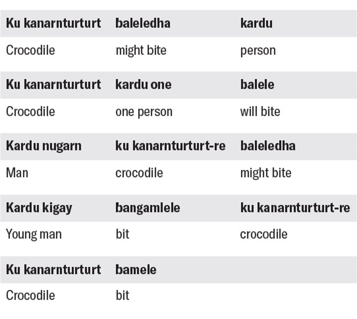 Grammar Changes How We See, an Australian Language Shows | Scientific ...