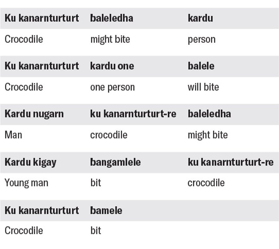 Grammar Changes How We See, an Australian Language Shows | Scientific ...
