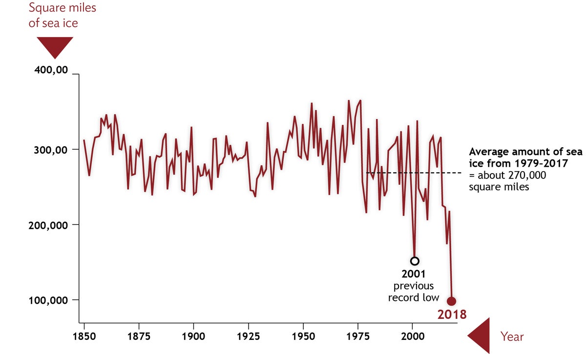 Shock and Thaw--Alaskan Sea Ice Just Took a Steep, Unprecedented Dive ...
