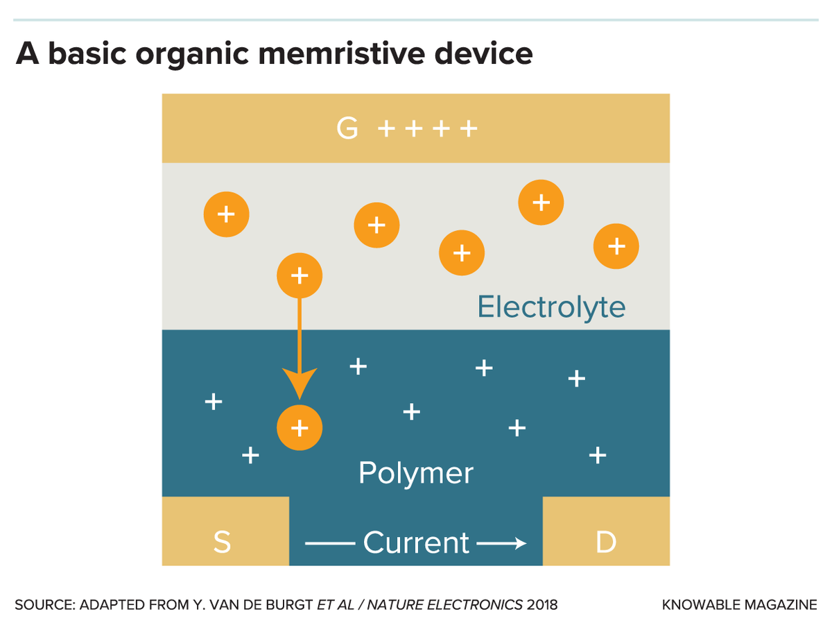 Making Computer Chips Act More like Brain Cells | Scientific American