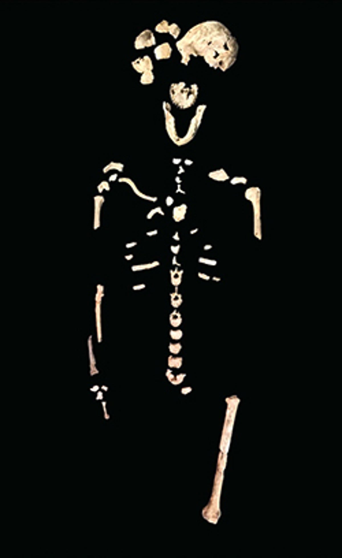 New Evidence of Mysterious Homo naledi Raises Questions about How ...