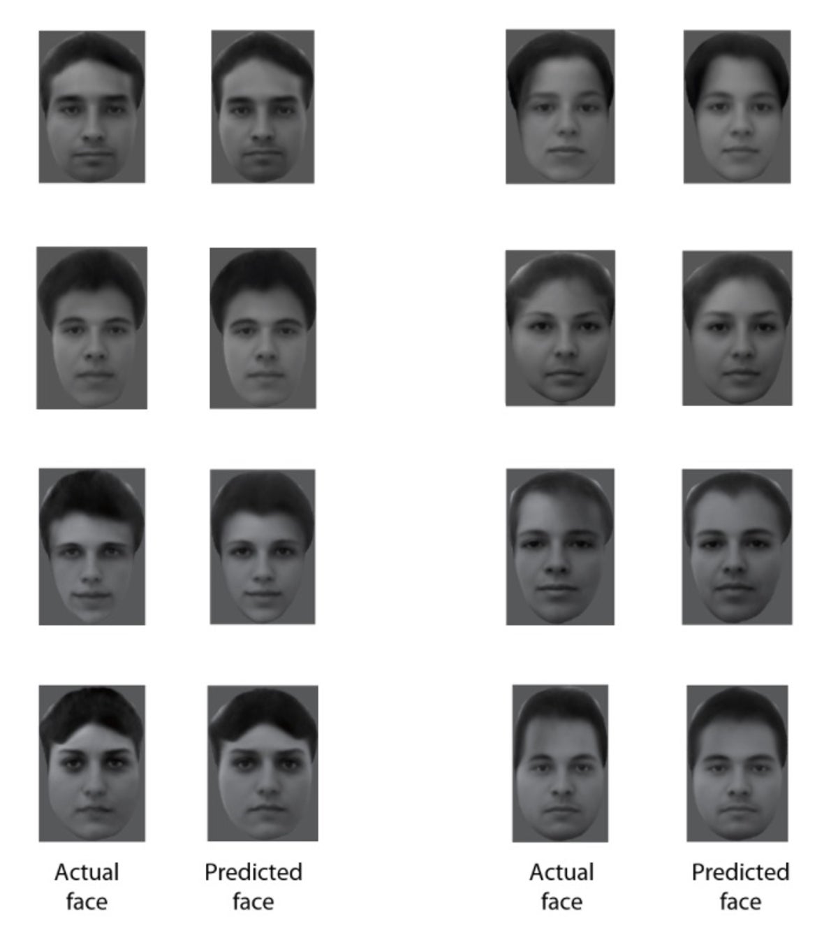 How We Save Face--Researchers Crack the Brain's Facial-Recognition Code ...
