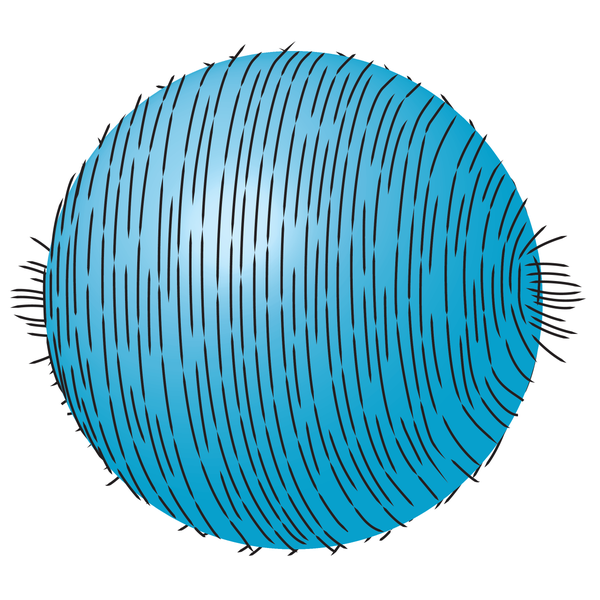 Math's 'Hairy Ball Theorem' Has Surprising Implications | Scientific ...