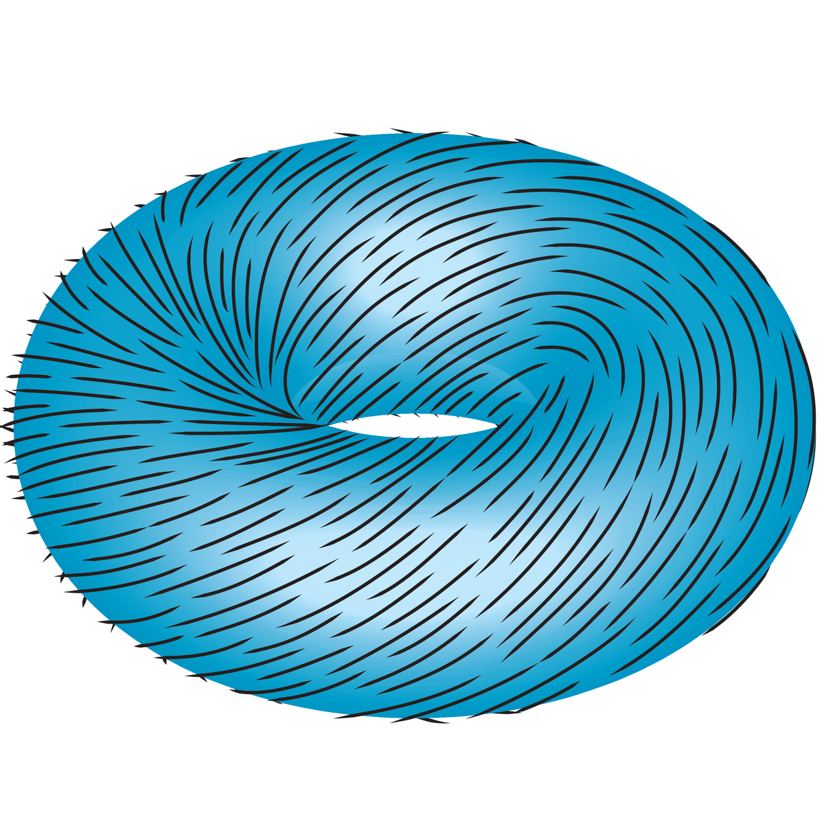 Math's 'Hairy Ball Theorem' Has Surprising Implications | Scientific ...