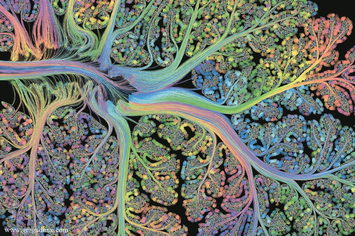 Watch the Human Brain Come to Life in This Stunning Piece of Art ...