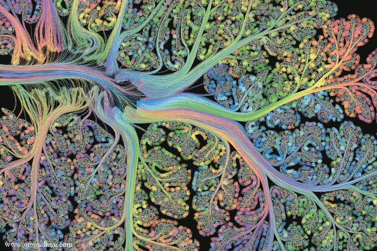 Watch the Human Brain Come to Life in This Stunning Piece of Art ...